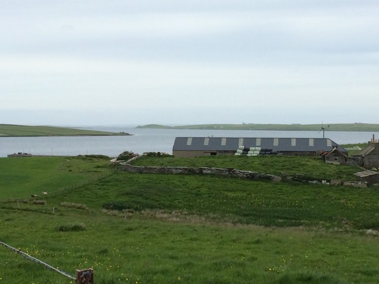 Conclusions from an almost-thesis – Castle Studies Trust Blog