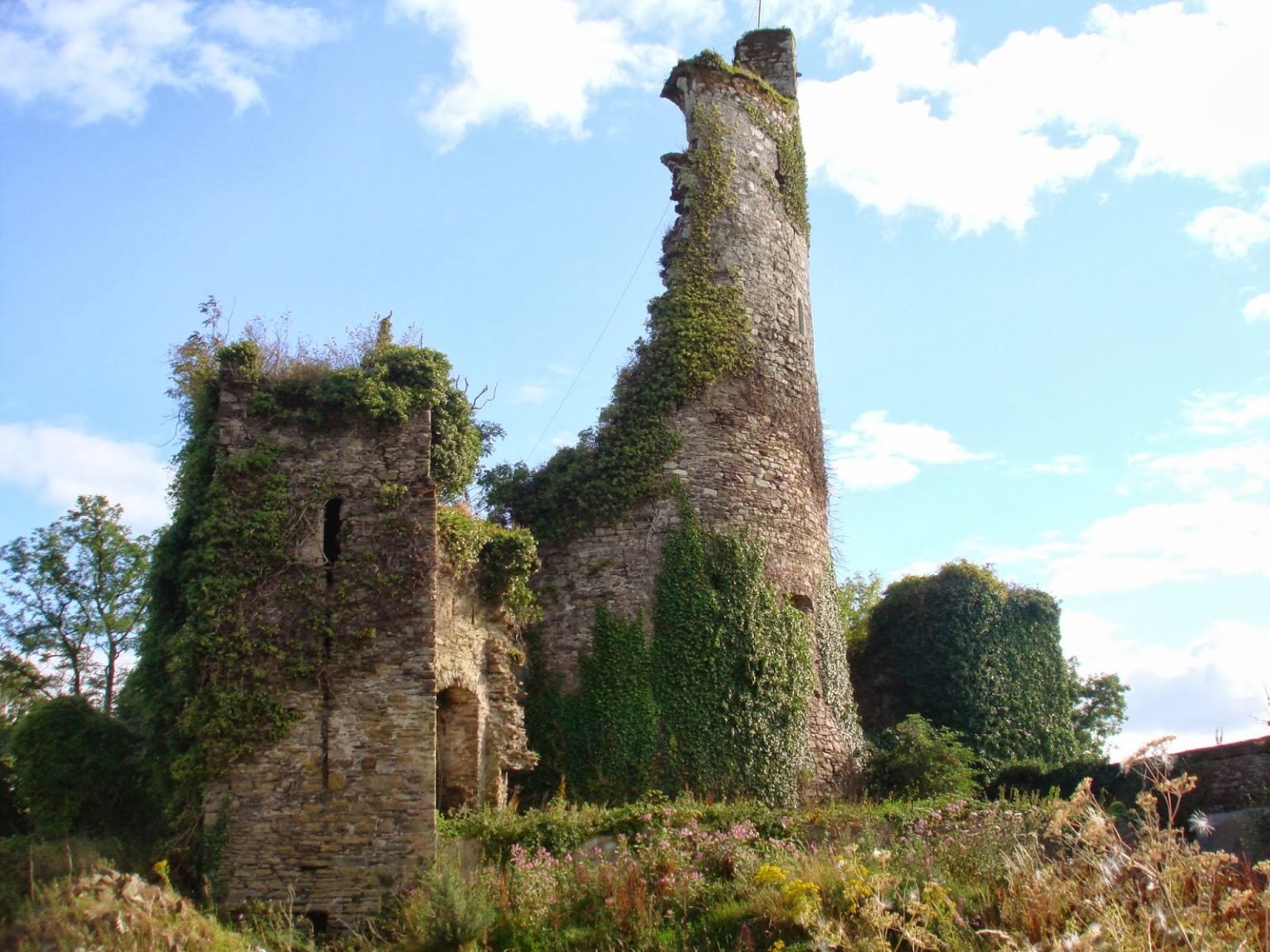 Mocollop Archives - Castle Studies Trust Blog