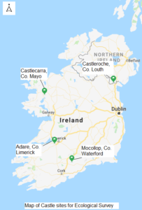 May 2020 – Castle Studies Trust Blog