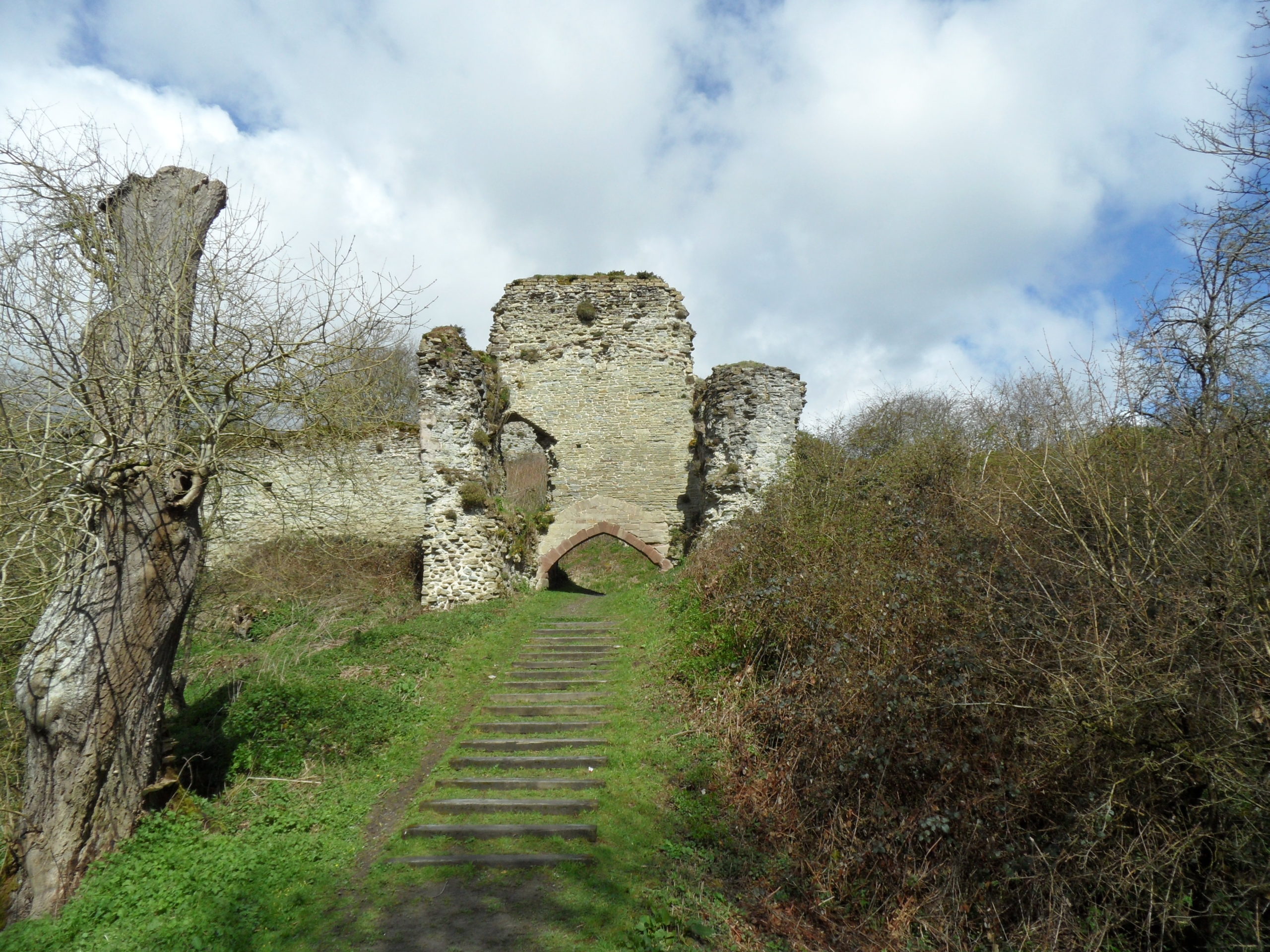 Saving Castles in the Welsh Marches - Castle Studies Trust Blog