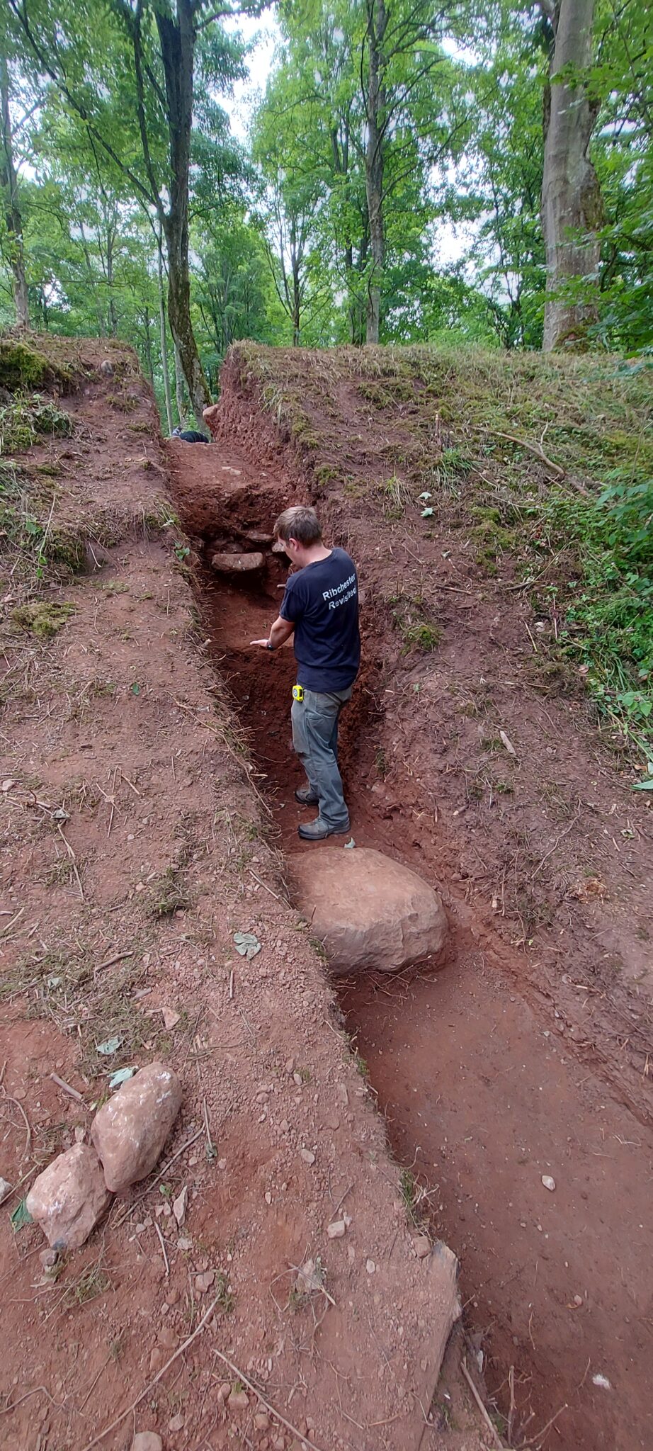 Castle Studies Trust Blog - Advancing the understanding of castles