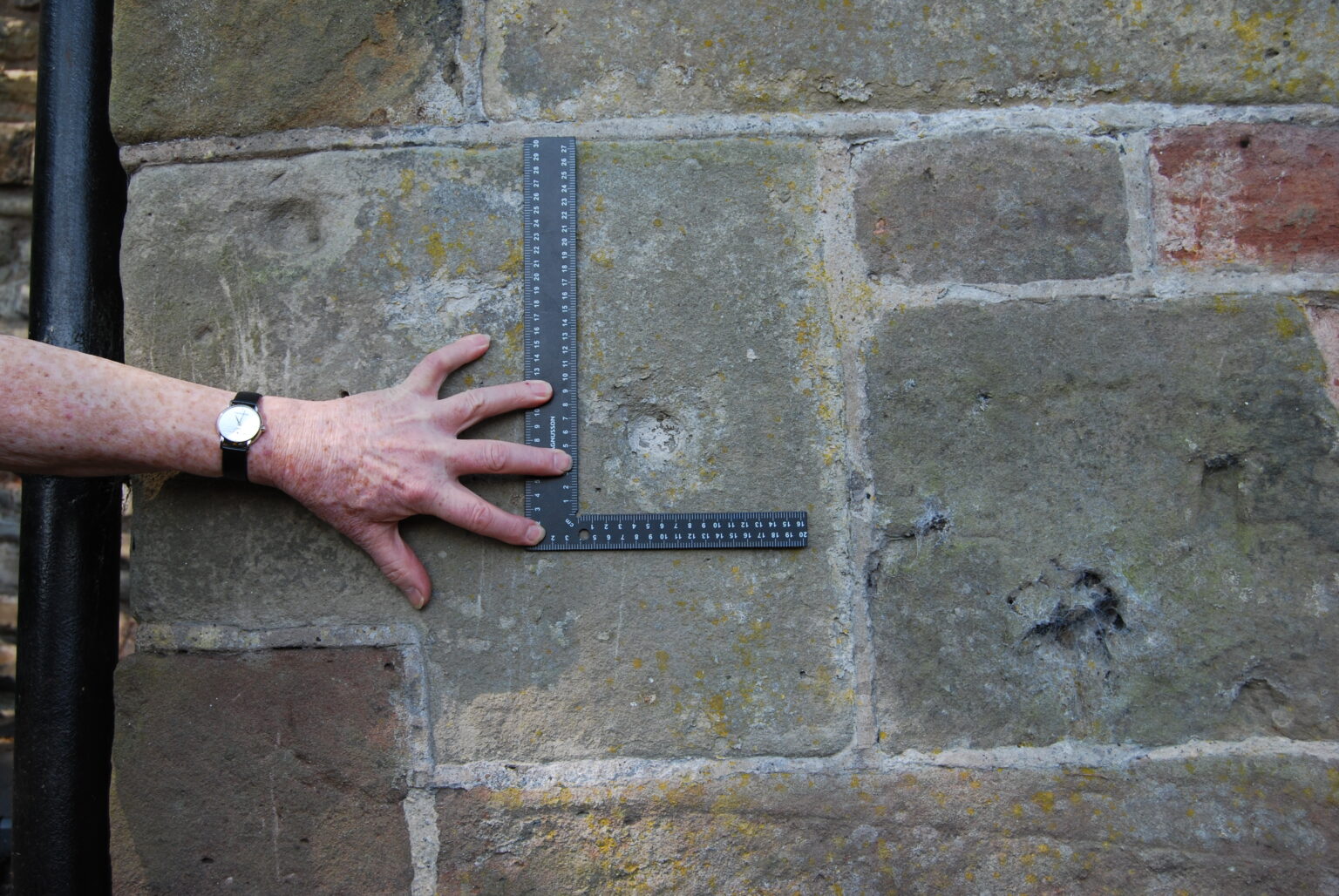 Castle Studies Trust Blog – Advancing the understanding of castles