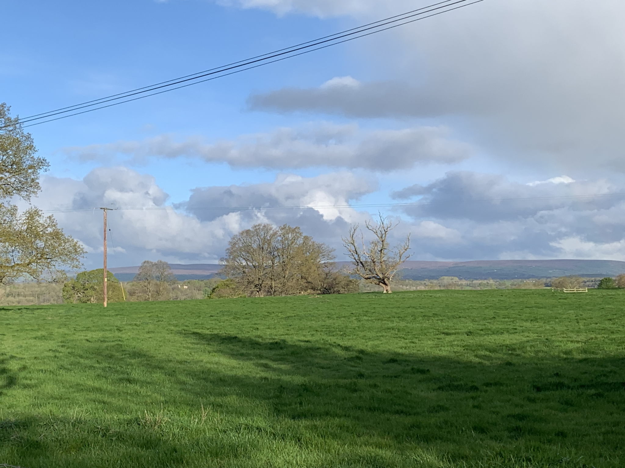 Queen Eleanor of Castile, Caernarfon Castle, and the Overton Connection ...