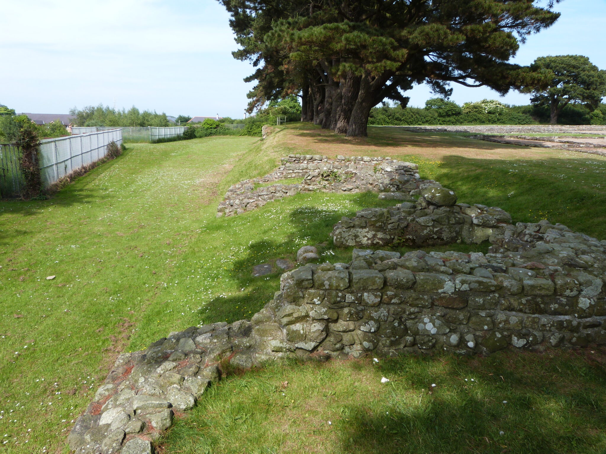 Queen Eleanor of Castile, Caernarfon Castle, and the Overton Connection ...