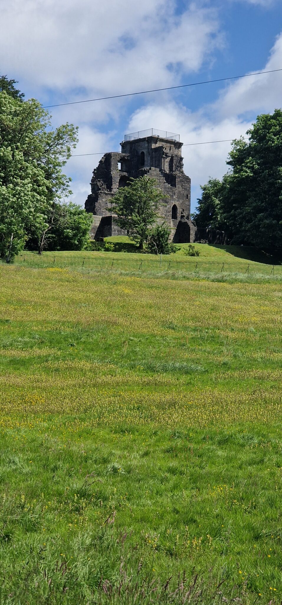 Castle Studies Trust Blog – Advancing the understanding of castles