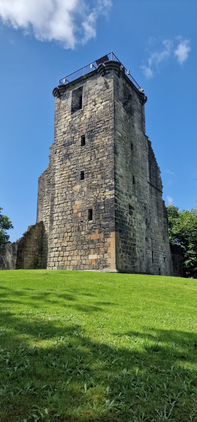 Castle Studies Trust Blog – Advancing the understanding of castles